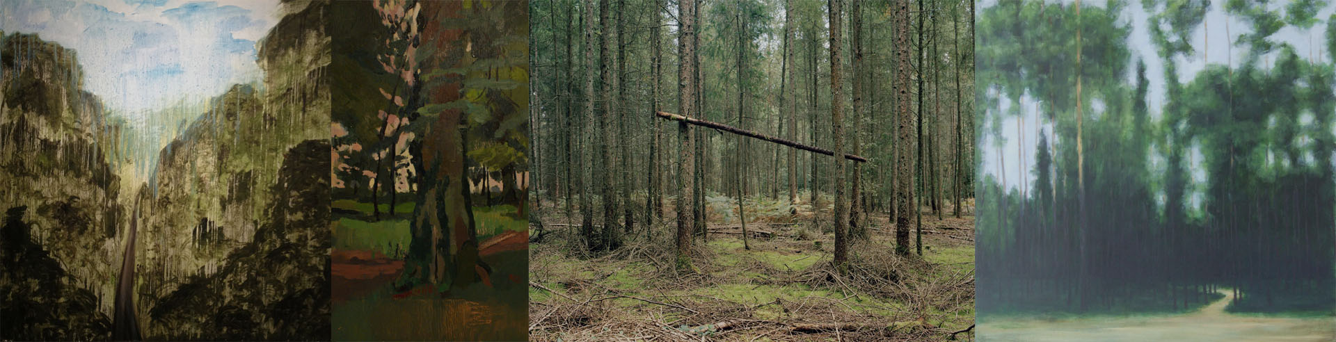 Beautiful Forest | DegreeArt.com The Original Online Art Gallery