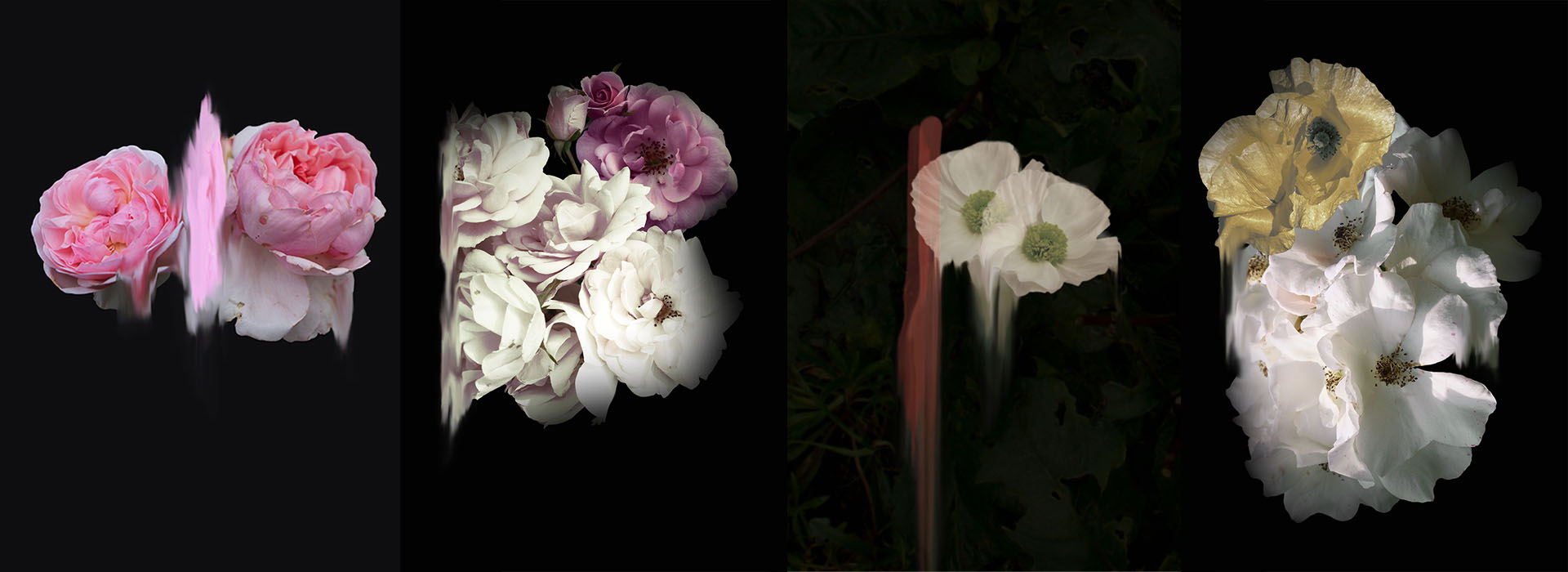 MEET THE ARTIST: Simone Webb Influenced by Rococo | DegreeArt.com The ...